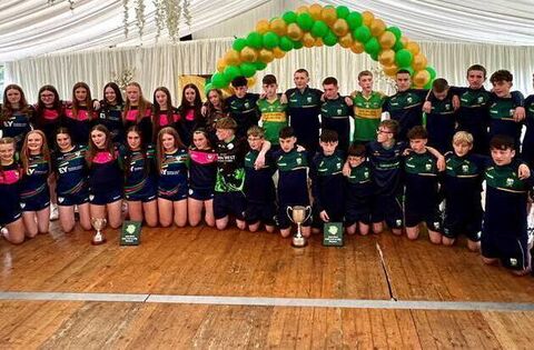 Historic Féile double for Gaultier - GAA - Waterford News & Star