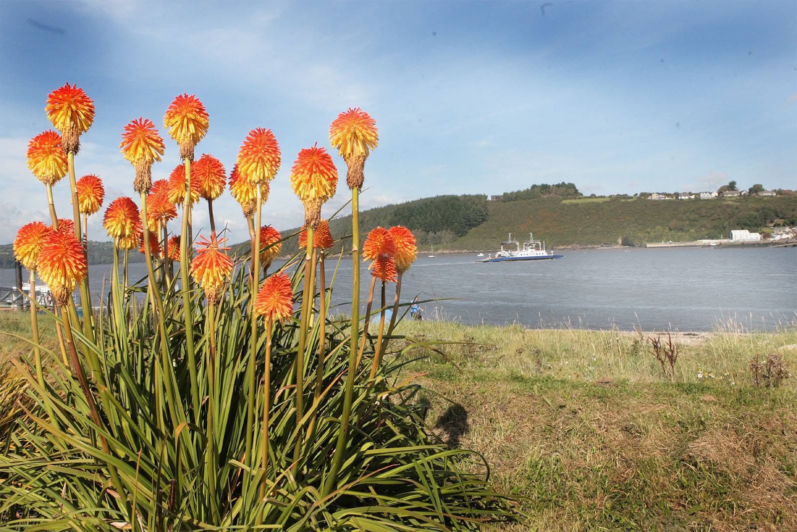 Local Notes: Hurling, all visitors welcome and mass time - Your ...