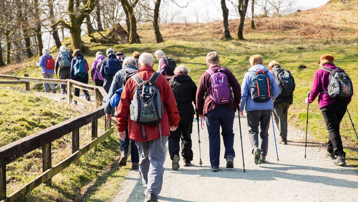 Local Notes: Active retirement group, relics of St Bernadette and ...