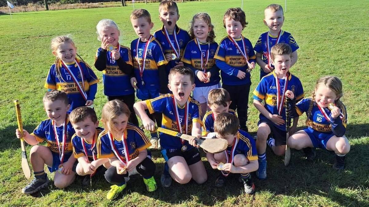 Local Notes: Camogie victory, GAA news, dinner dance, public meeting ...