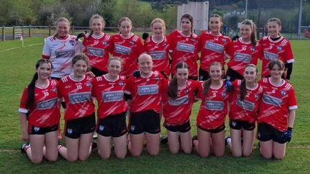 Local Notes: Jersey sponsorship, local lotto, GAA and soccer news ...