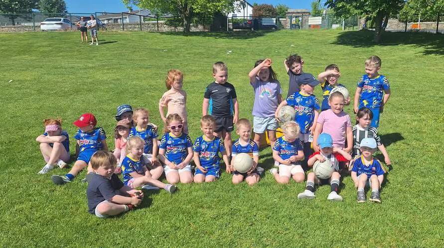 Local Notes: GAA and soccer news, Portlaw heritage and more - Your ...