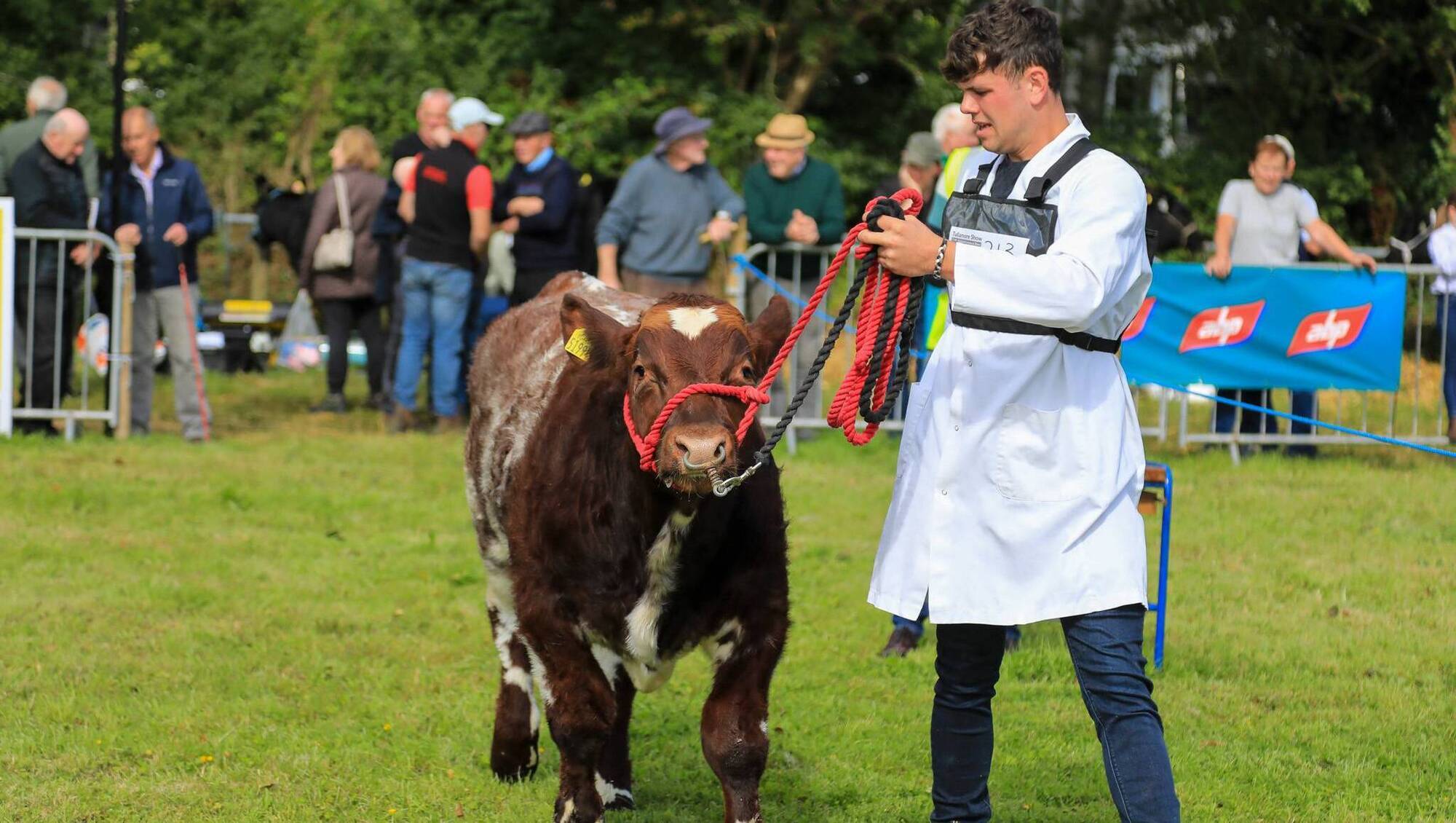 Countdown to Iverk Show 2025 - we've everything you need to know ahead ...