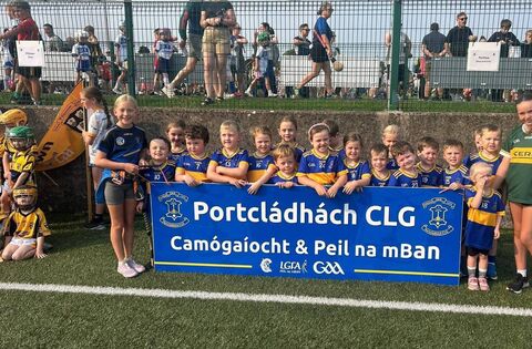 Local Notes: Sympathies, Portlaw Heritage Centre, GAA and soccer news ...