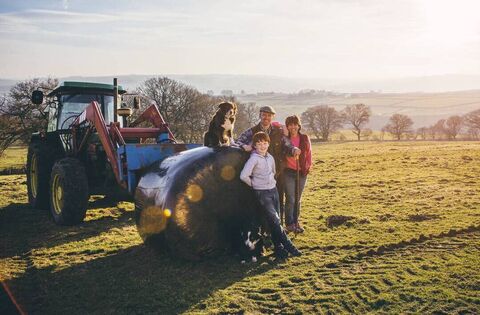 Farming: Planning for the future of your family farm - Life - Waterford ...