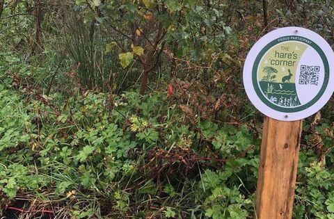 Hare’s Corner biodiversity project open for applications - Life ...