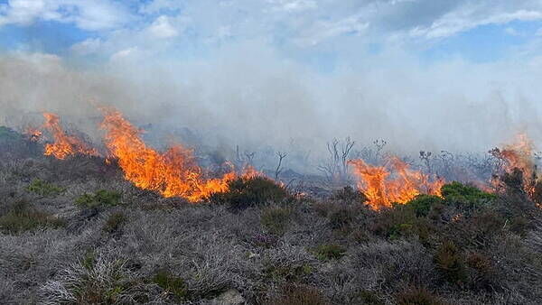 Dublin Fire Brigade Battling Gorse Fire On Killiney Hill Homepage